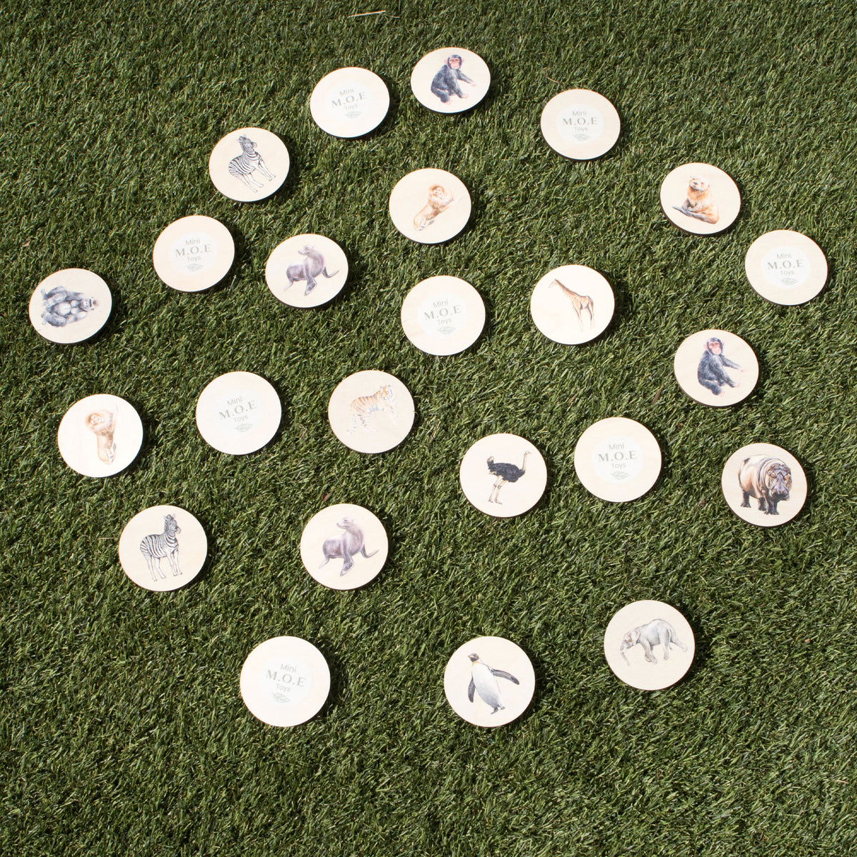 The Ministry of Outdoor Education