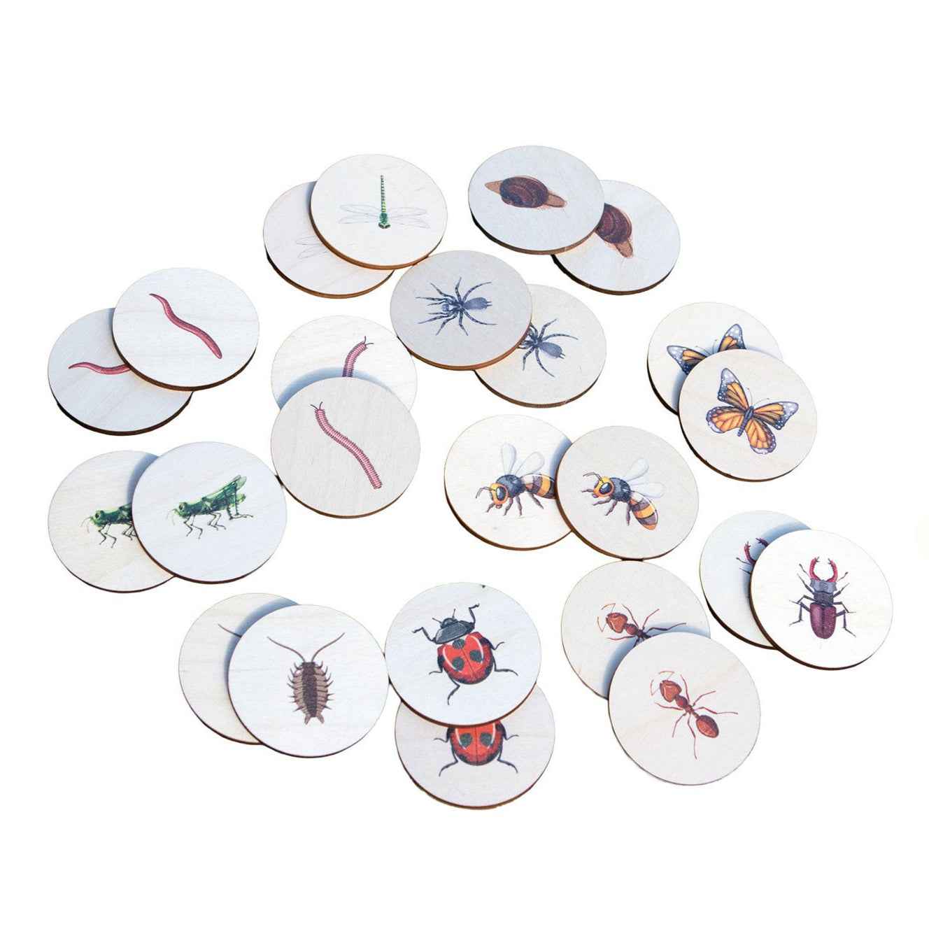 Pick Pairs Game - Bugs & Insects - The Ministry of Outdoor Education